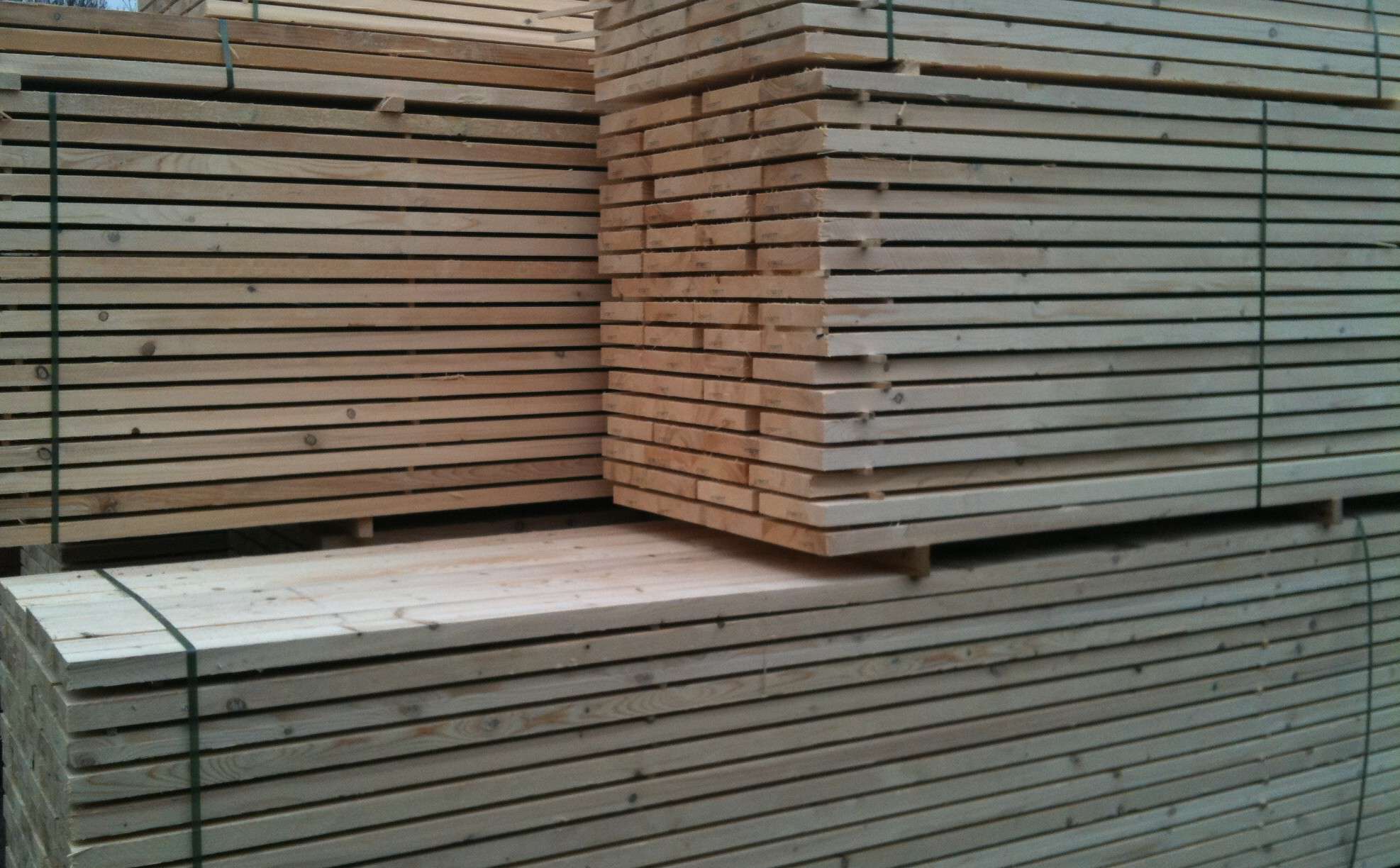 Excel Timber Products Ltd – Bulk timber services
